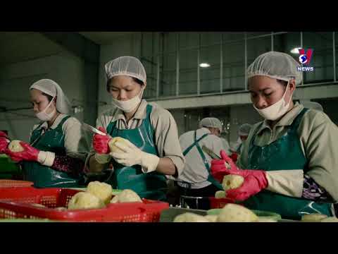 Vietexplorer.com - Solutions to add value to farm produce