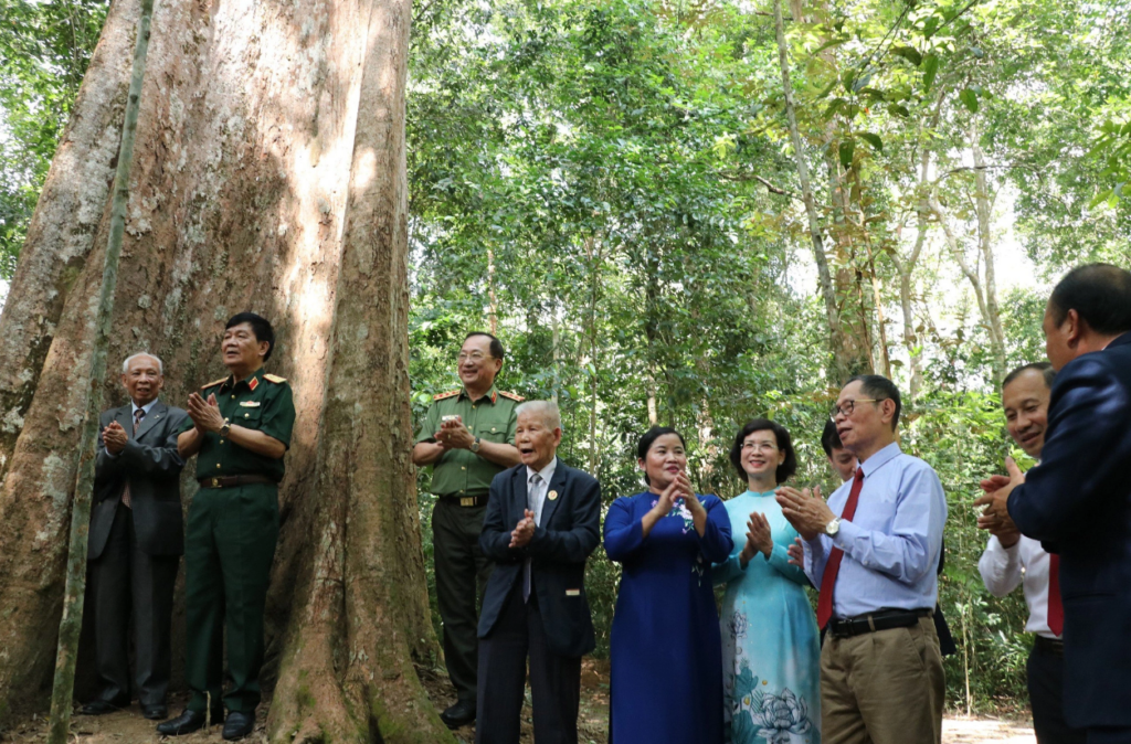 https://vietexplorer.com - 1,230-Year-Old Tree Designated as National ...