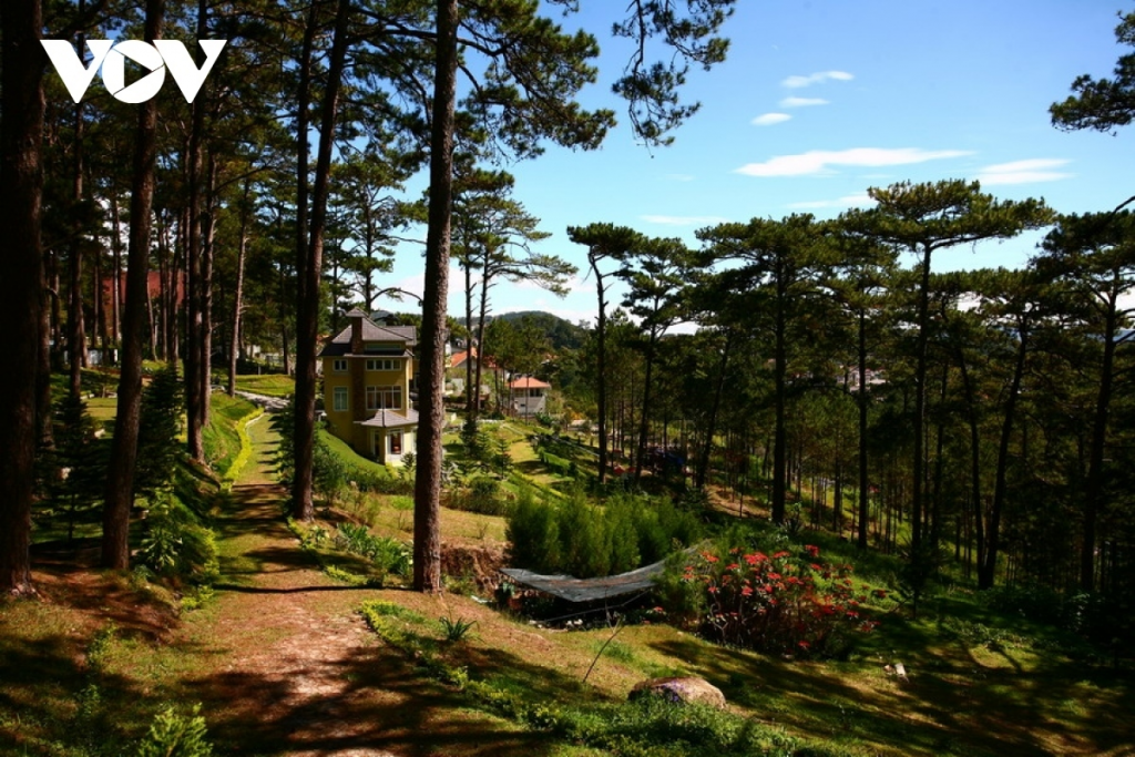 https://vietexplorer.com - Da Lat: A Nature Lover’s Paradise in Asia
